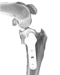 TPLO vs TTA vs ECR: a review of scientific studies – BoneVet Orthopaedics